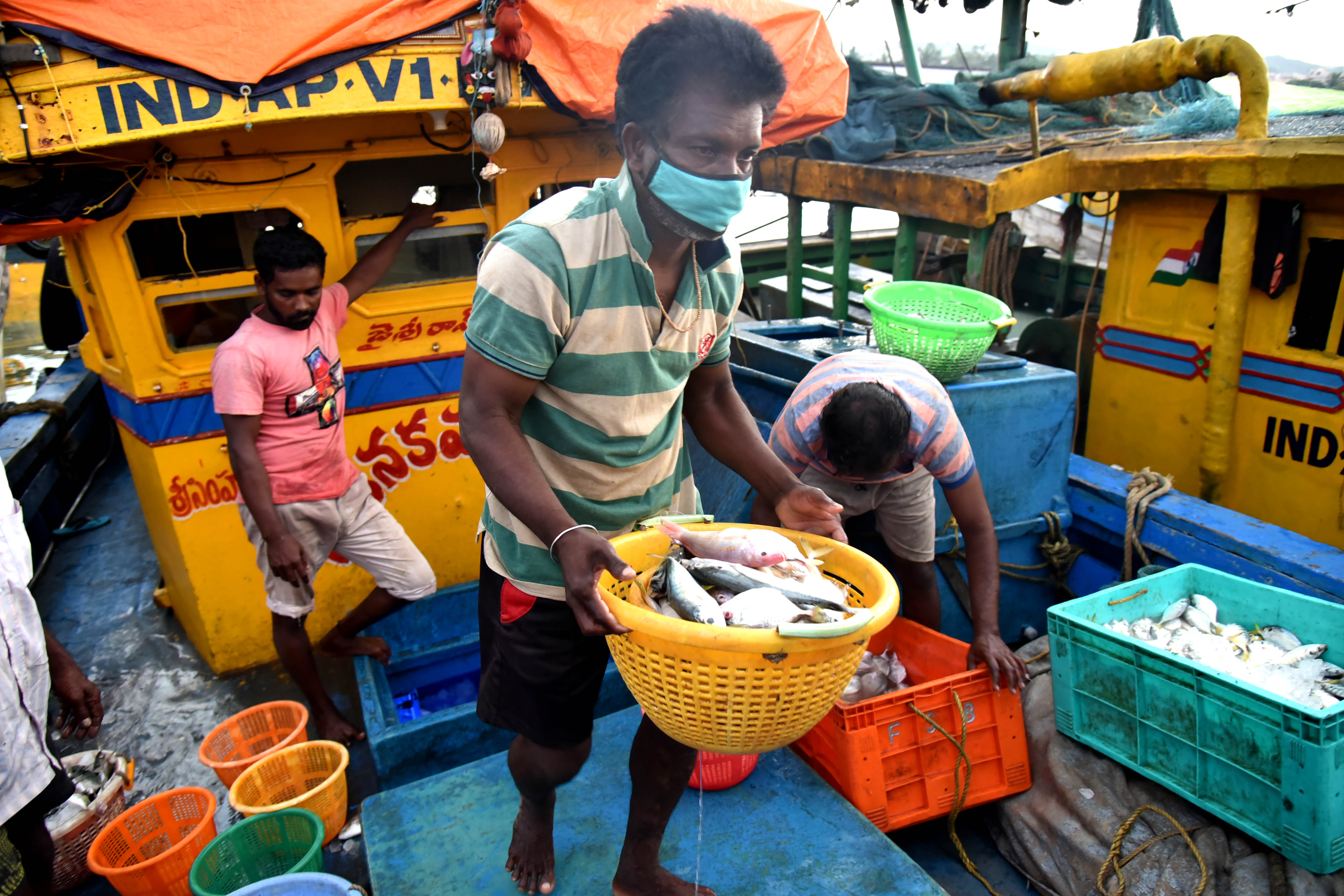 How Overcrowding, Antibiotics And Other Practices Are Affecting Fish In ...