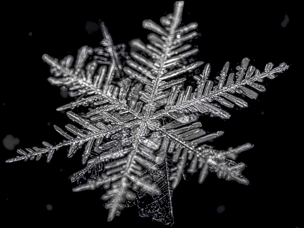 Guy Captures Unbelievably Detailed Snowflakes Video With DSLR Camera