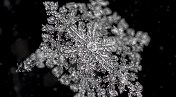 Guy Captures Unbelievably Detailed Snowflakes Video With DSLR Camera
