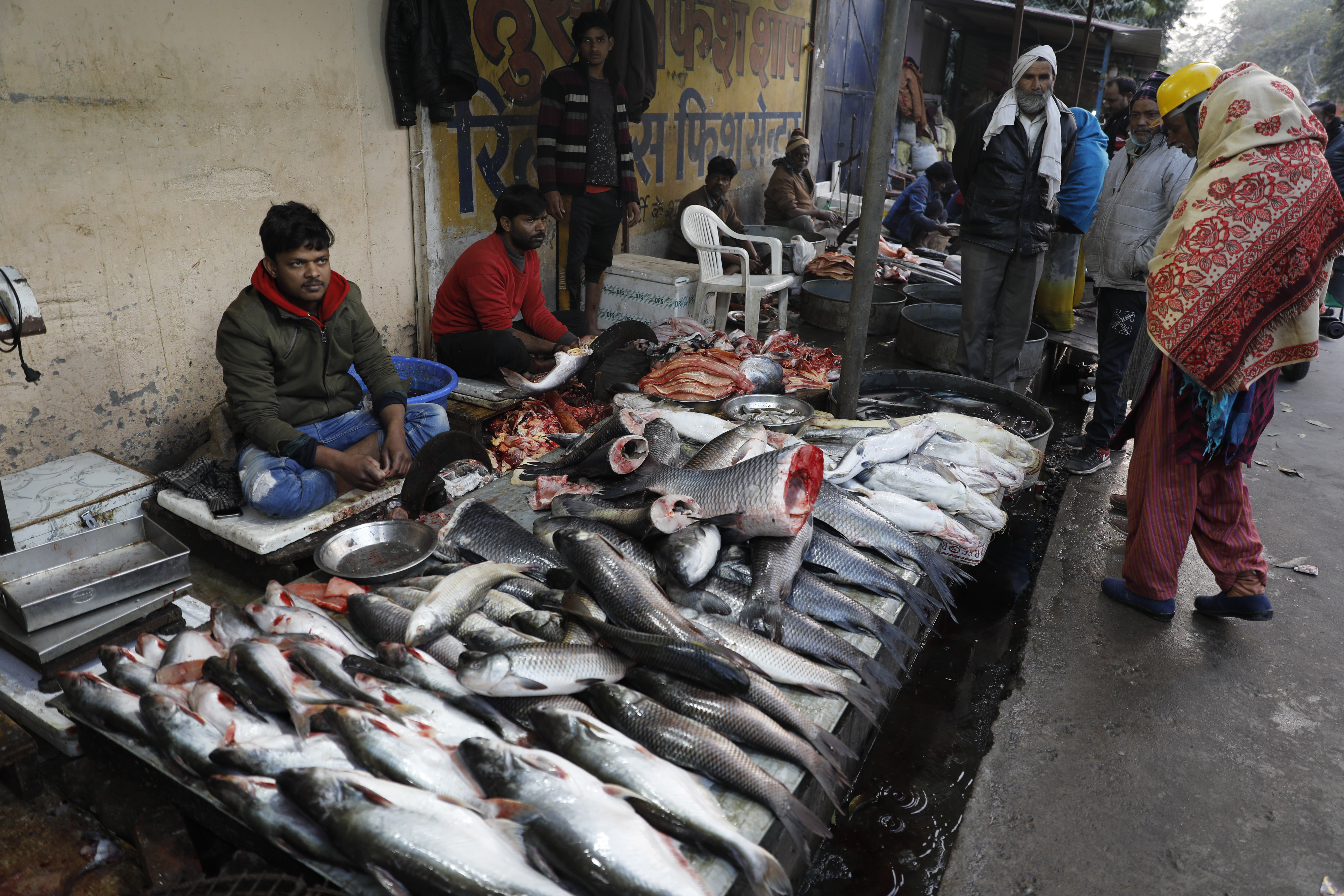 Freshwater Fish Population Is On The Decline Thanks To Us & Globally ...