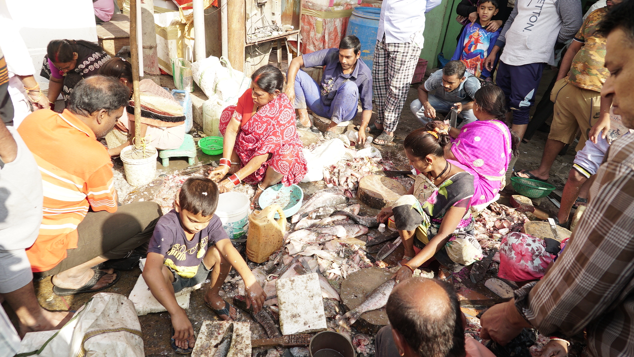 How Overcrowding, Antibiotics And Other Practices Are Affecting Fish In ...