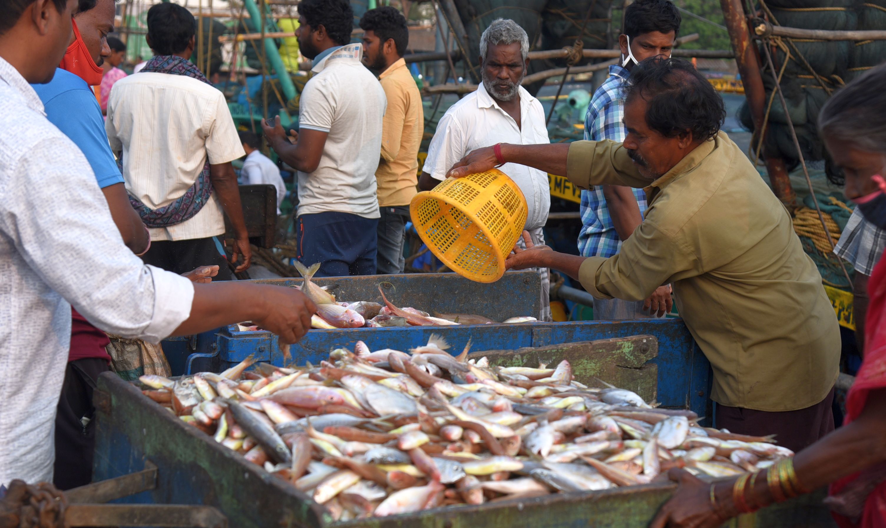 Freshwater Fish Population Is On The Decline Thanks To Us & Globally ...