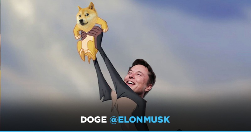 Elon Musk's 'Doge' Tweet Sparks A Meme Fest On Social Media