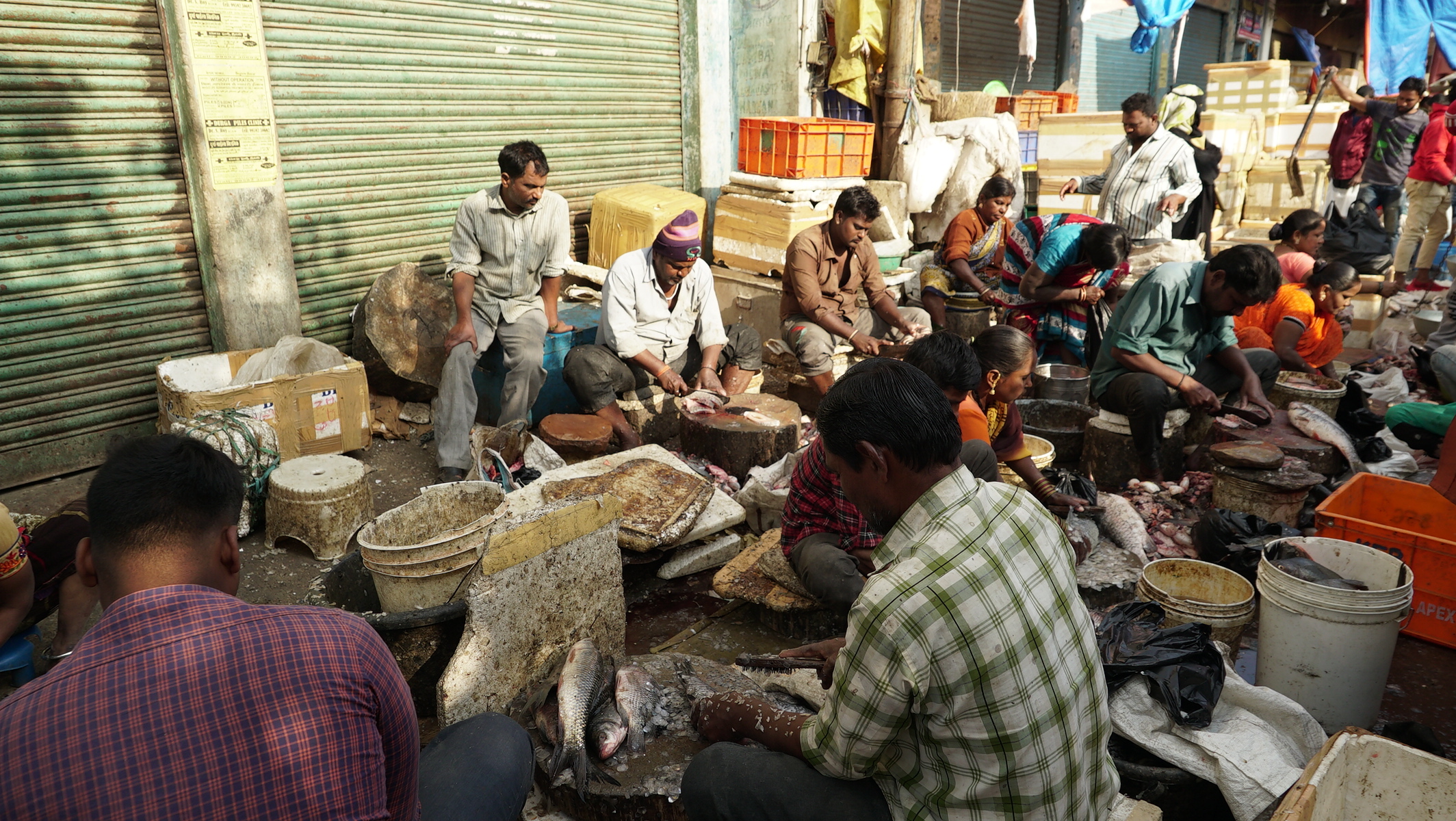 How Overcrowding, Antibiotics And Other Practices Are Affecting Fish In ...