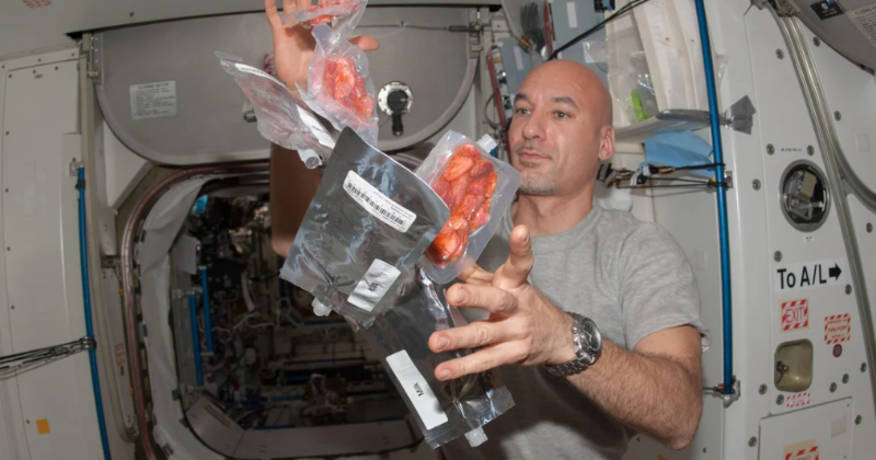 NASA Is Offering 500,000 USD To Winner Of Space Food Contest