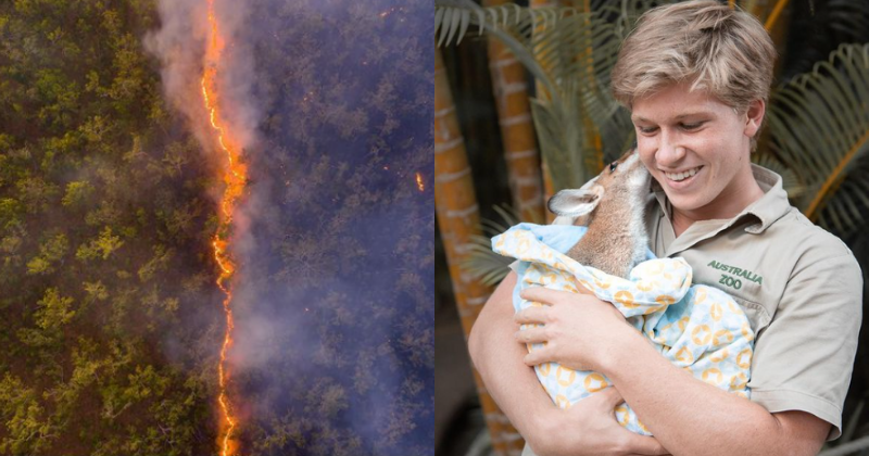 Robert Irwin Wins The Wildlife Photographer Of The Year People's Choice ...