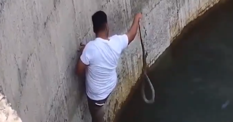 Men Save Snake From Drowning