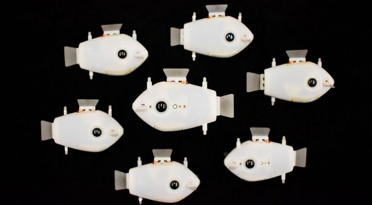 Scientists Develop Fish Robots That Swim Underwater To Help Eco ...