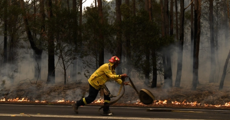 Australia's Forests Destroyed By Bushfires Will Take Years To Recover