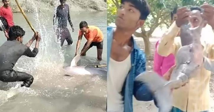 Instances Of Animal Cruelty In India