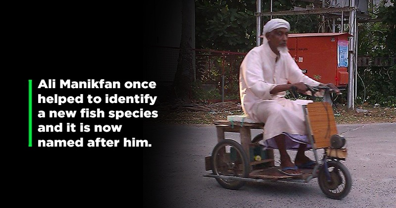 Meet Padma Shri Ali Manikfan: Marine Researcher, Ecologist, All Without ...