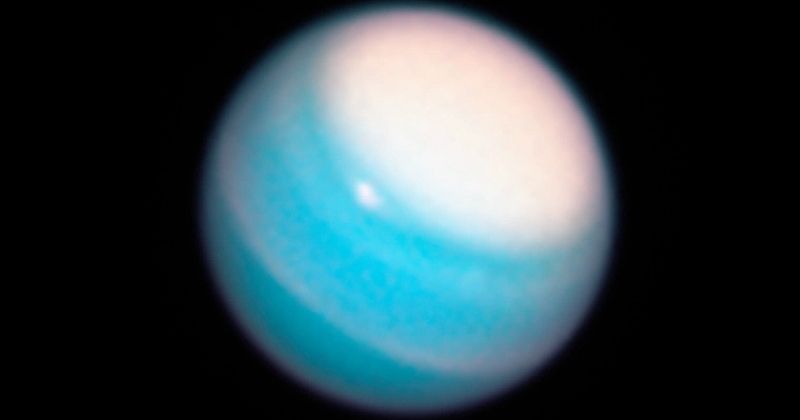 Scientist Begs Twitter CEO To Stop Censoring 'Uranus' As Offensive Content