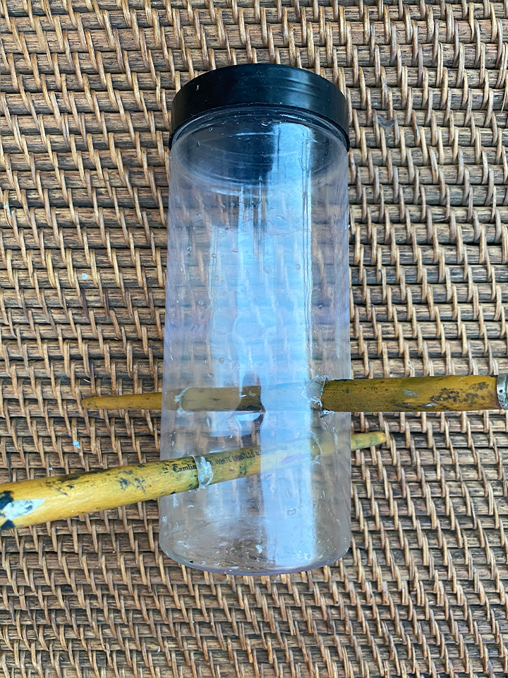 Building A Bird Feeder At Home