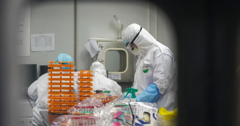 Wuhan Scientists Allegedly Admit To Getting Bitten By COVID-19-Infected ...