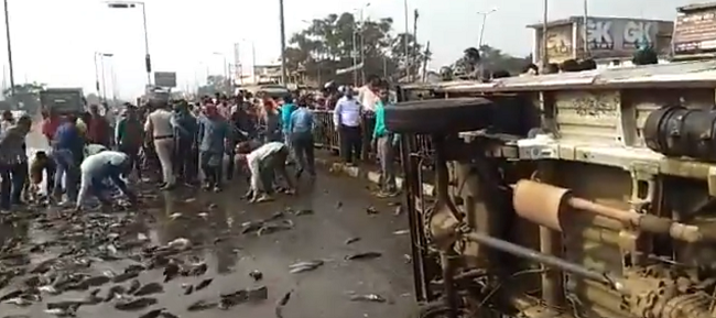 People Steal Fish When Truck Full Of It Overturns On Highway