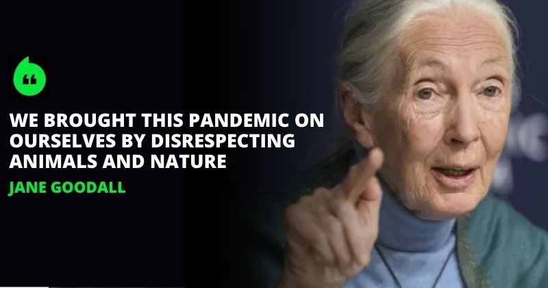 Humanity Will Be Destroyed If It Doesn't Respect Nature, Warns Jane Goodall