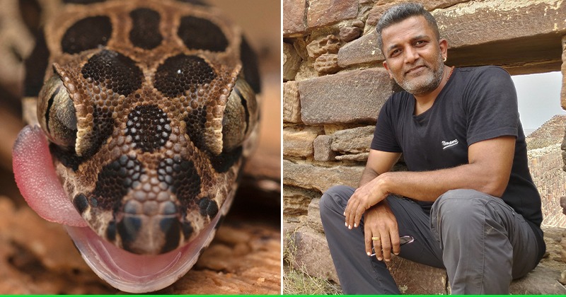 All About Slugs, Geckos And Snakes With Varad Giri