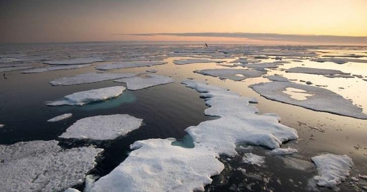 Explained: The Arctic Oil Drilling And Its Environmental Ramifications