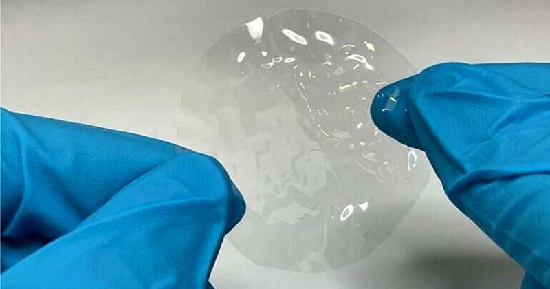 Researchers Build Eco-Friendly, Recyclable Plastic With Plant Cellulose ...