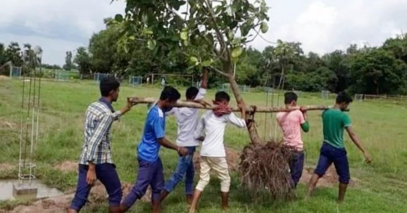 Jharkhand Men Carry Tree On Their Shoulders To Replant It
