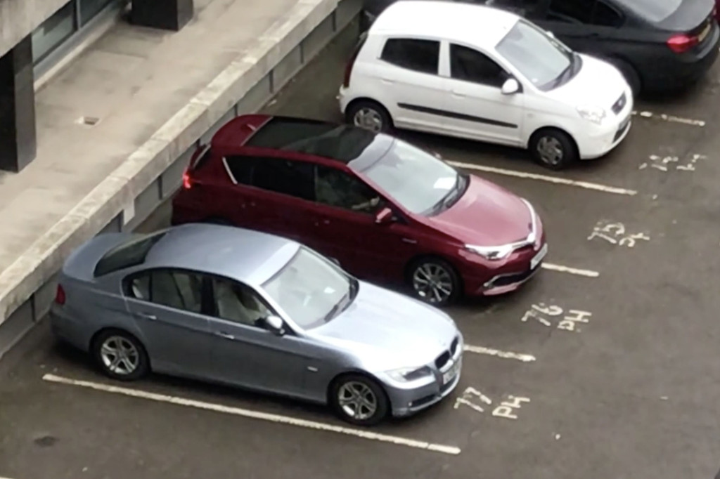 Driver Goes Viral After Taking Eight Minutes To Reverse Park