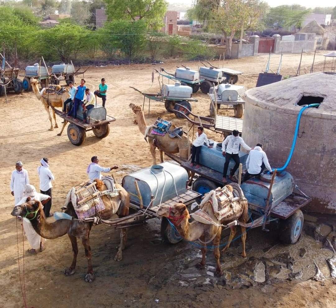 Villagers In Jaipur's Barmer Dance On Streets To Celebrate Water Supply