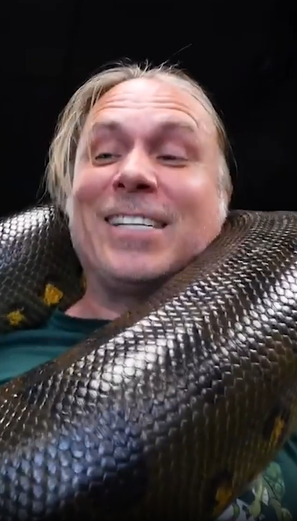 Watch: Fearless Reptile Caretaker Plays With Giant Snakes