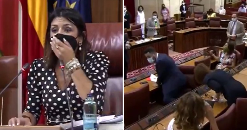 Rat Enters The Parliament In Spain