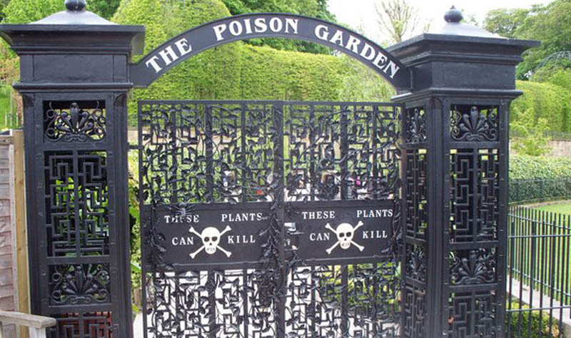 This Poison Garden In England Has Plants That Can Kill You
