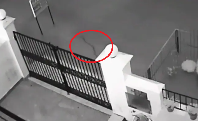 Footage Of Snake Swimming Outside Flooded Gate In Gurugram