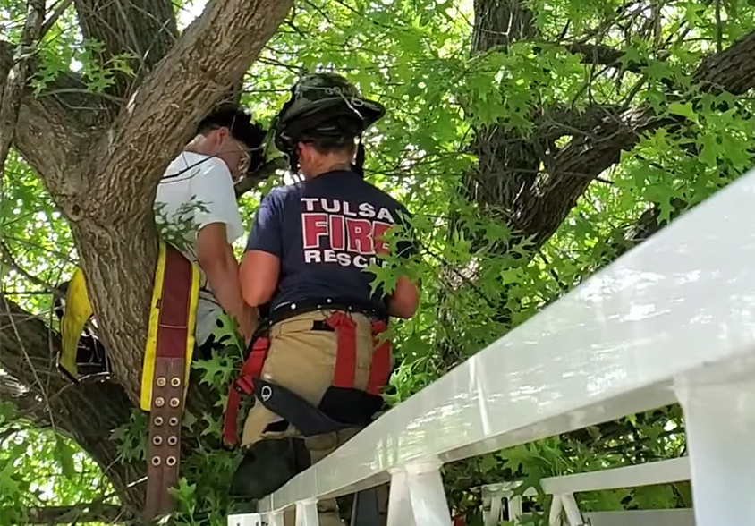 Cat Owner Gets Stuck In Tree Trying To Rescue Pet, Firefighters Save Both