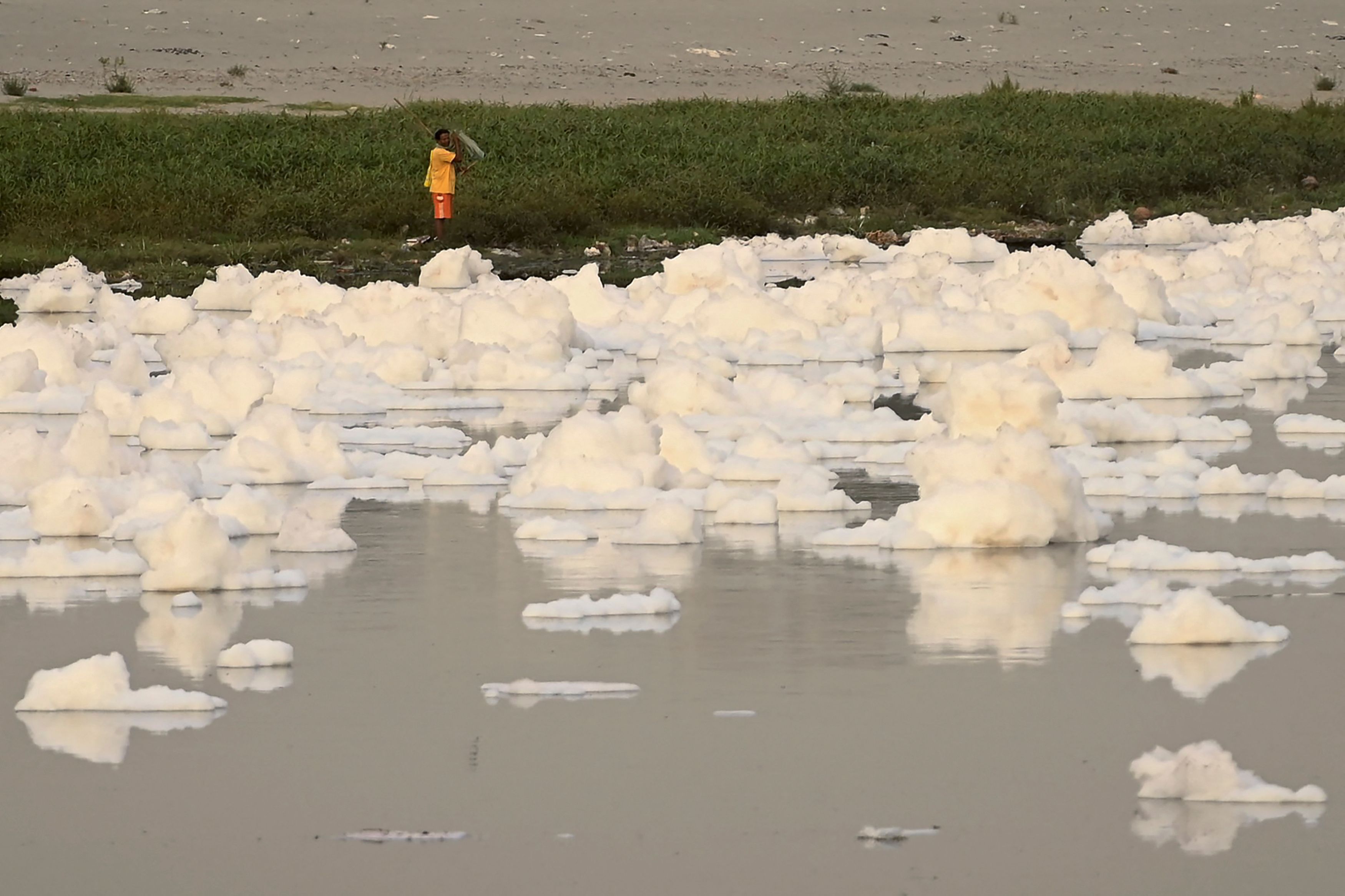 Explained: Why Yamuna Remains Polluted Despite All The Efforts To Clean It