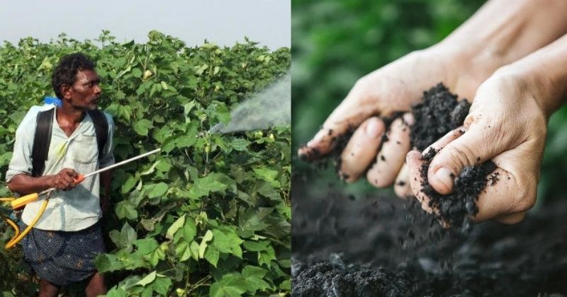 World Environment Day 2021: Pesticides Are Destroying Soil Health ...