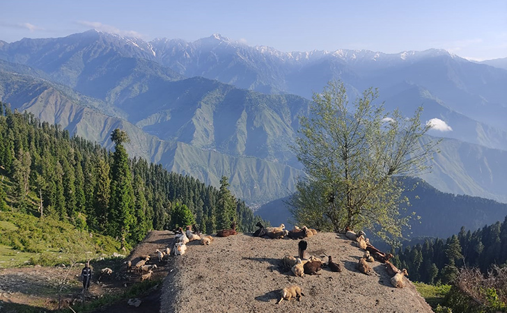 Indo-Pak Ceasefire Brings Back Visitors To Tourist Destination Along ...