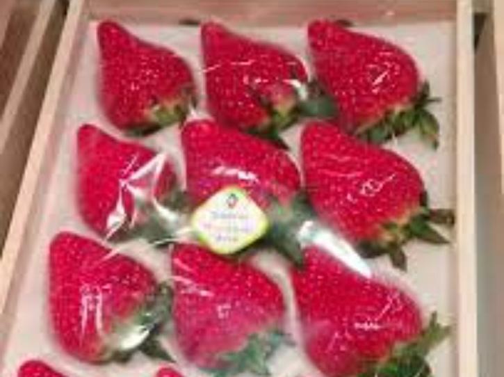 दुनिया के 7 सबसे महंगे फल, सबके बस की बात नहीं इन्हें खरीदना