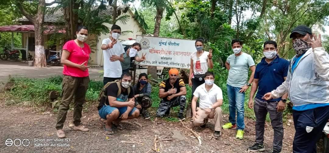 One Sapling At A Time, How Environmentalists Are Reclaiming Greenery Of ...