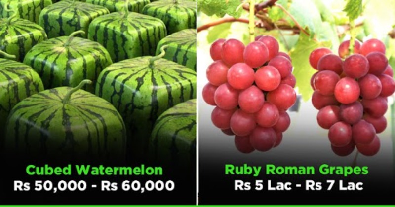 World's Most Expensive Fruits