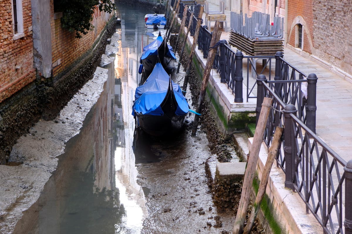 Venice's Famous Canals Dry Due To Low Tide