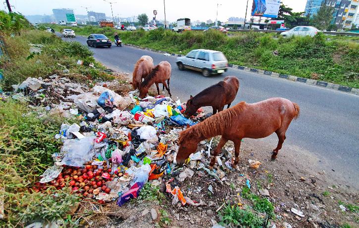 931 Mn Tonnes Of Food Was Wasted Globally In 2019, An Indian Household ...