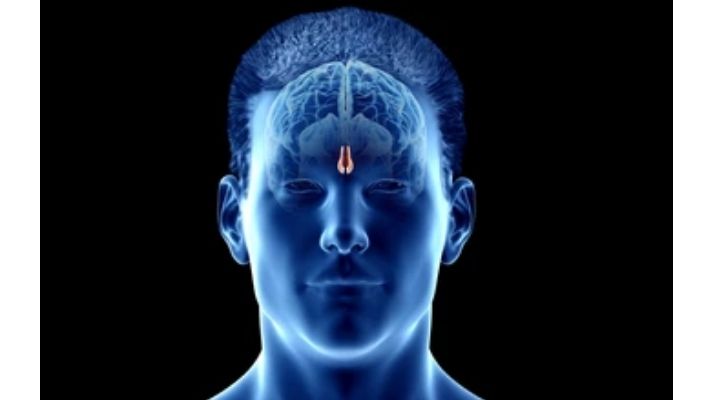 Alexey Turchin Is A Scientist Who Records His Life To Become Immortal ...