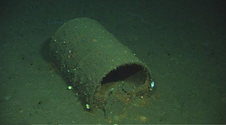 Underwater Robots Aim To Clean Toxic Chemicals 6 Km Under Pacific Ocean