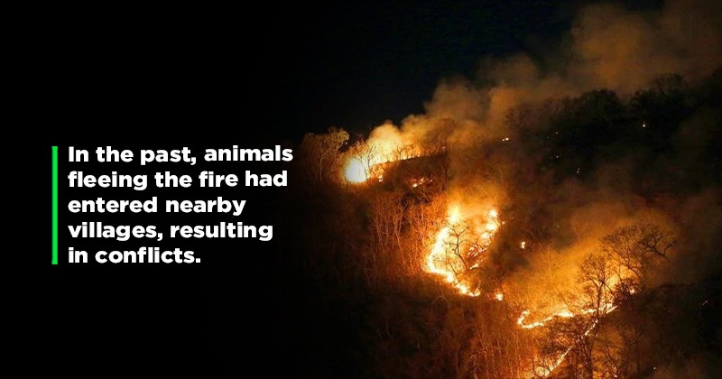 Fear Of Human-Animal Conflict, Poaching As Animals Fleeing Simlipal ...