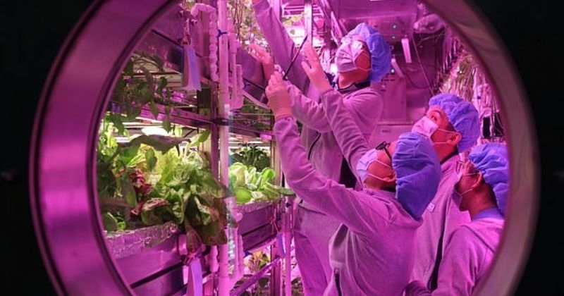 Chinese Students Spent 1 Year In Moon Simulation, Grew Food And Oxygen ...