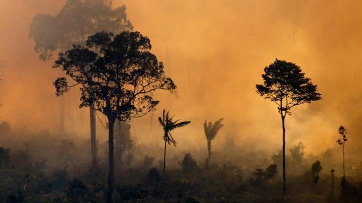 Amazon Rainforest Releasing More Greenhouse Gases Than It Absorbs ...