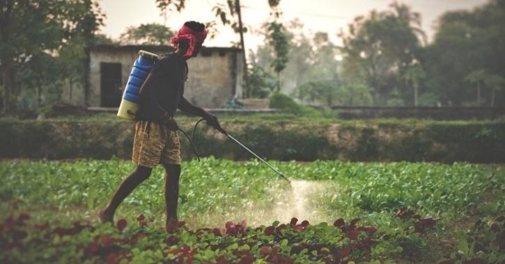 World’s Farming Land At Risk Of Pesticide Pollution, India Farmers Have ...