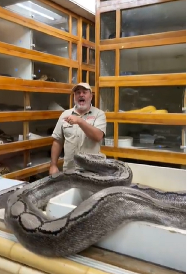 Huge Reptile Almost Bites Off Zookeeper's Face