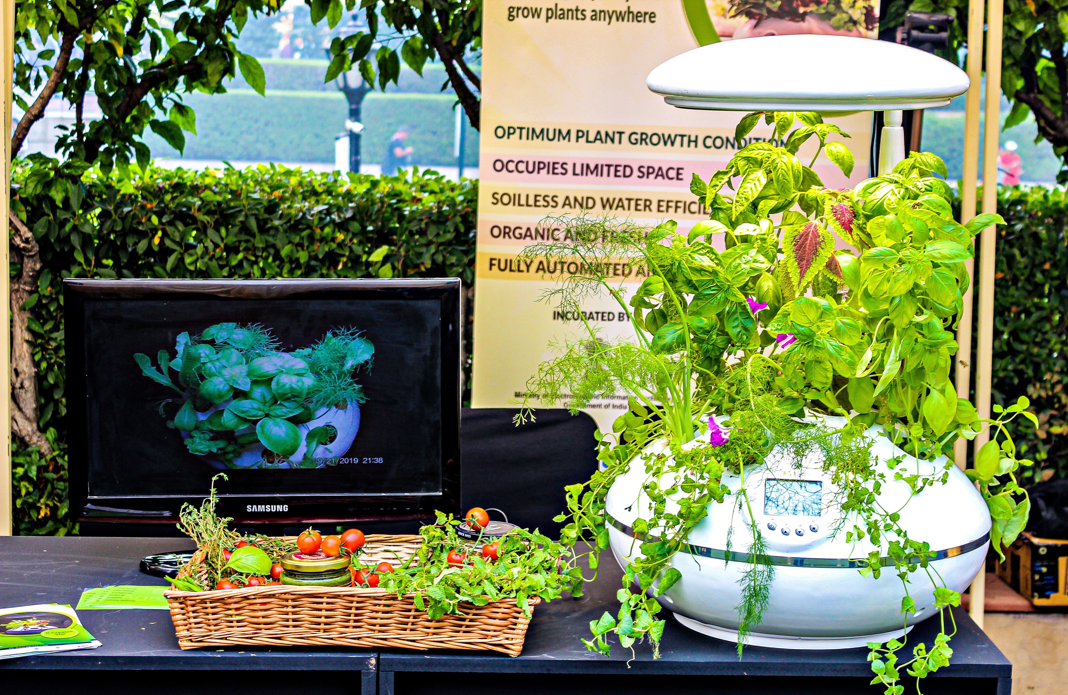 Delhi Startup Creates AI-Powered ‘Smart’ Garden Tech To Grow Plants ...