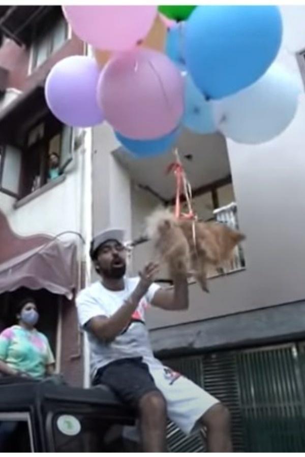 This Delhi Man Ties His Pet Dog With Balloons To Make Him Fly, Gets Charged