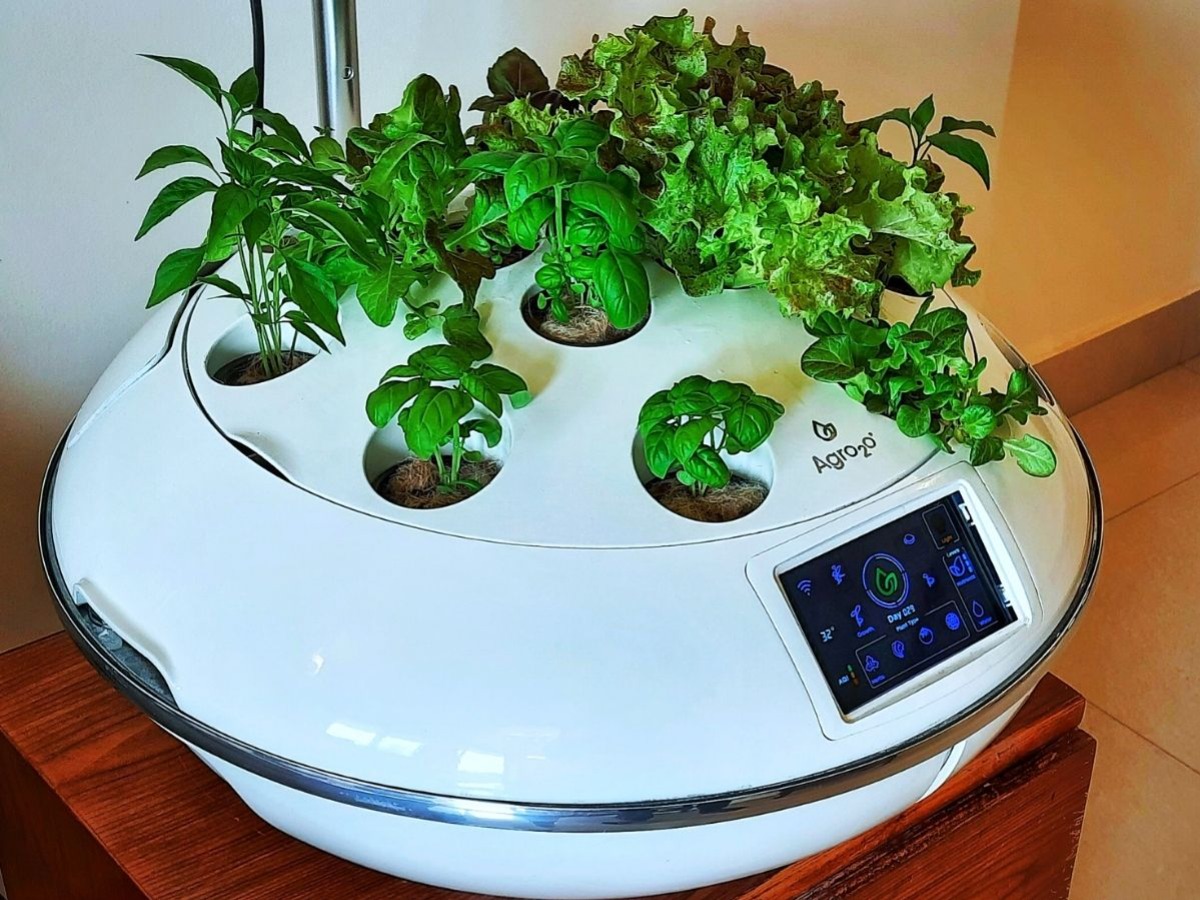 Delhi Startup Creates AI-Powered ‘Smart’ Garden Tech To Grow Plants ...