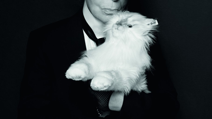 11 Richest Pets In The History Whose Purse Are Fatter Than Many People ...